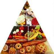 mi experiencia cientifica: PRAMIDE ALIMENTICIA